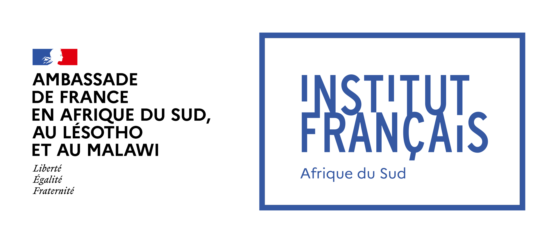 IFAS-INA-Managing audiovisual archives-main issues and best practices ...